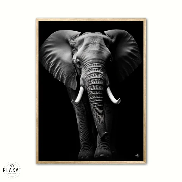 Elefant plakat | Plakater med elefanter