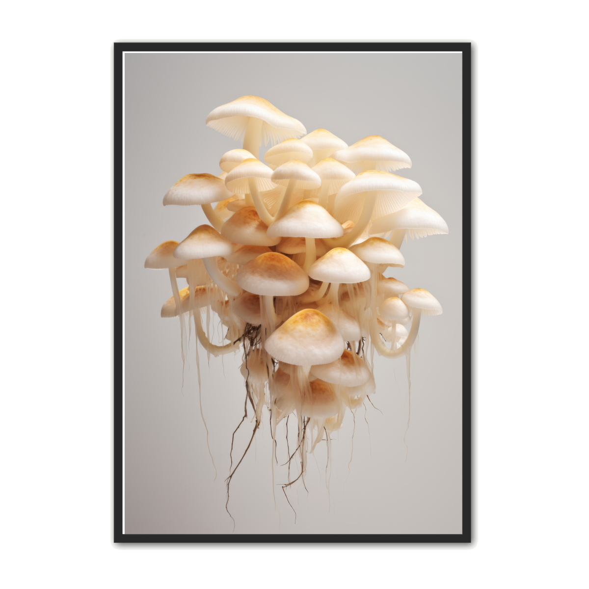 Svampe Plakat 32 - Naturplakat - Svampe Plakater - NyPlakat.dk